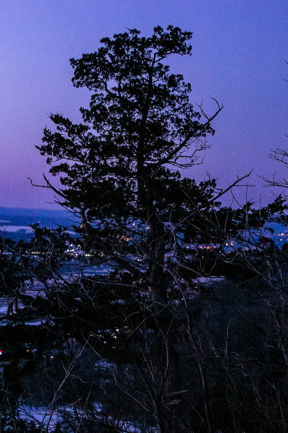 La Crosse Wisconsin Photographer